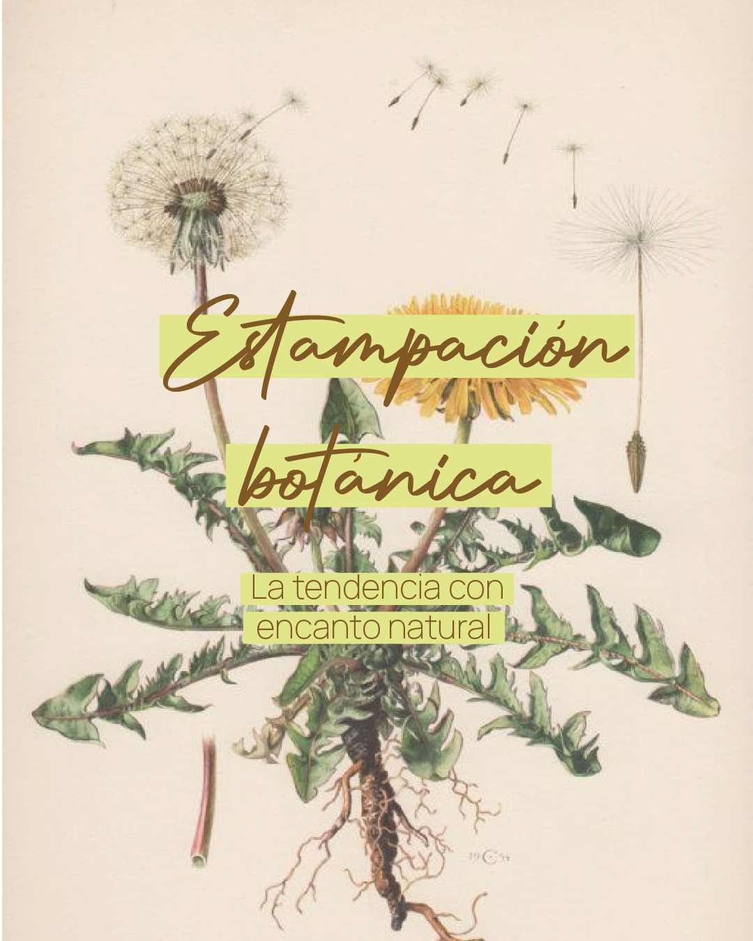 Estampados Botánicos: La Tendencia Natural Que Arrasa en 2025– Garotas